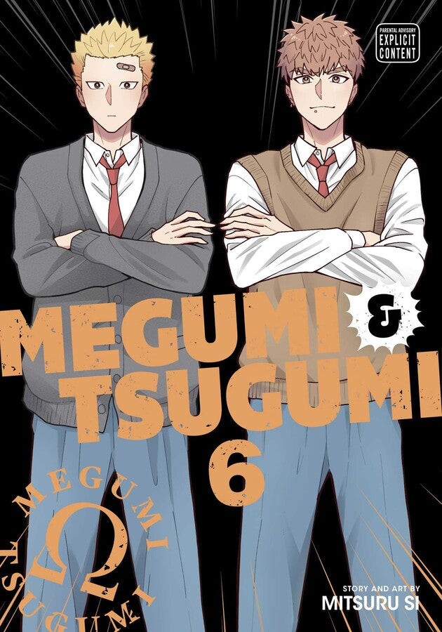 Manga: Megumi & Tsugumi, Vol. 6 – MegaCulture