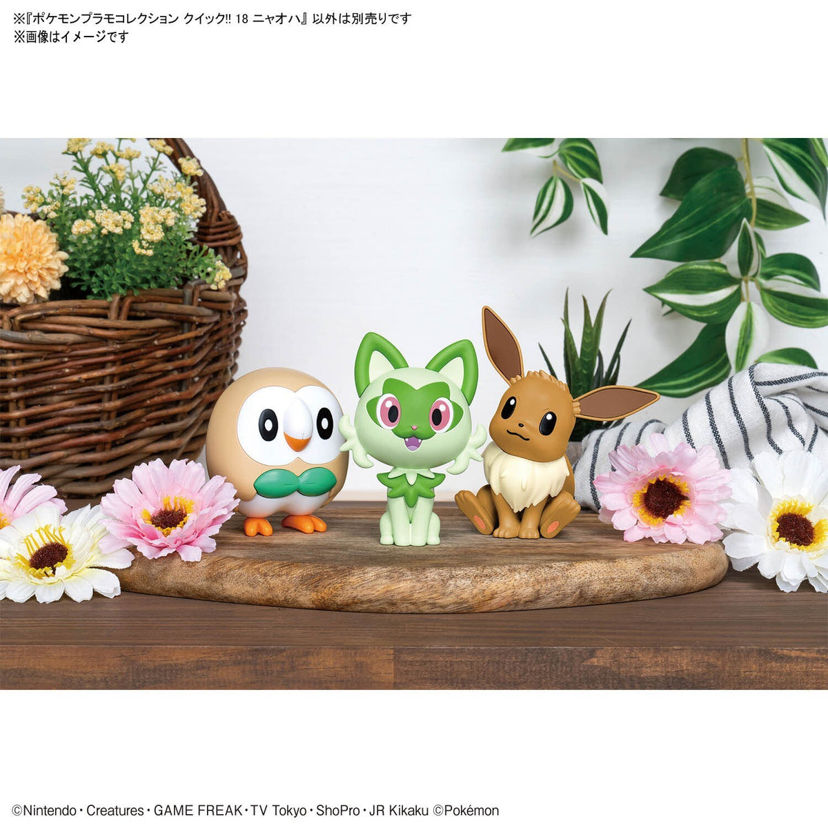 Pokemon - MODEL KIT - Sprigatito – MegaCulture