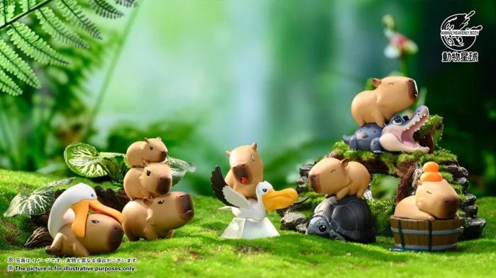 Capibara: BLIND BOX - Capybara Series – MegaCulture