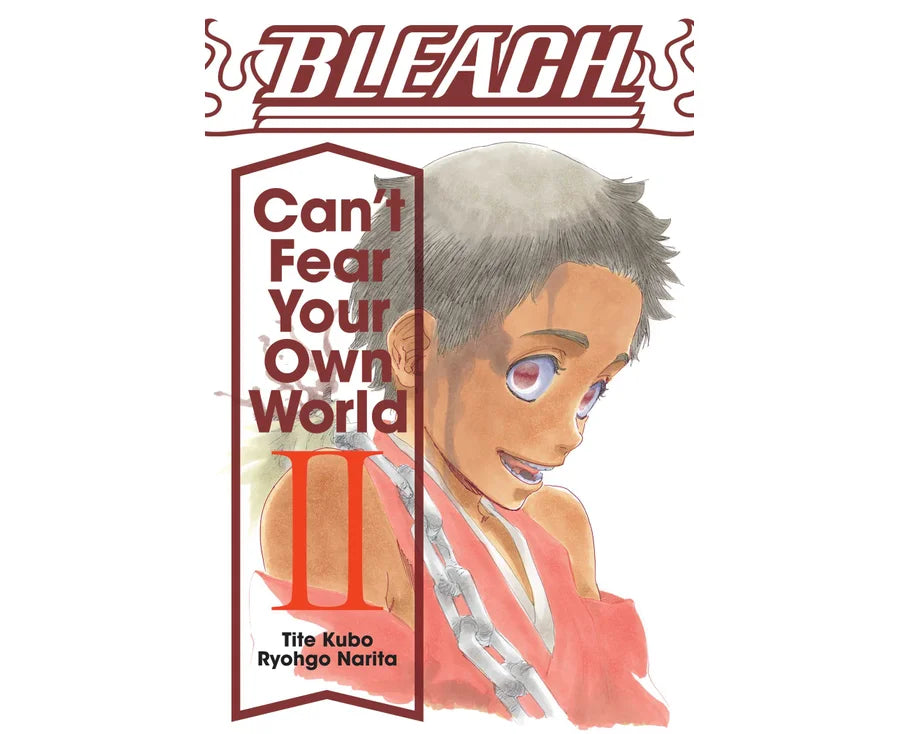 Manga: Bleach: Can't Fear Your Own World 2 – MegaCulture