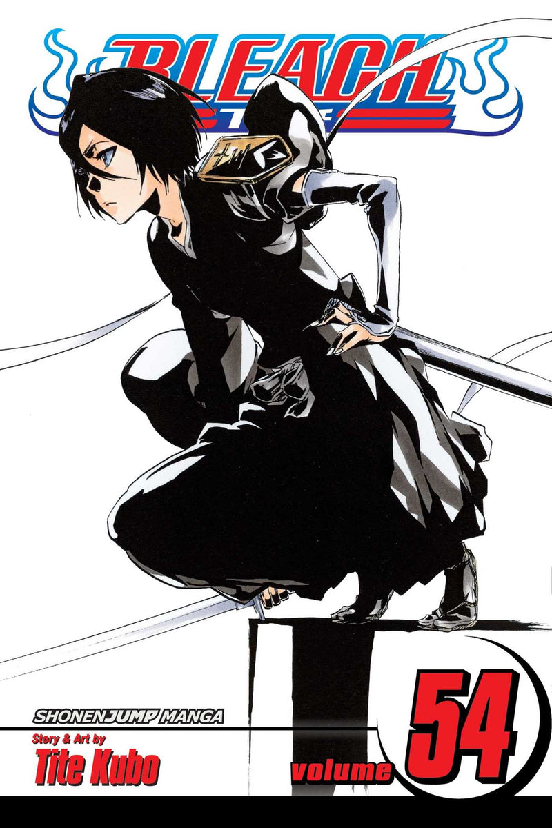 Manga: Bleach : Volume 54 – MegaCulture