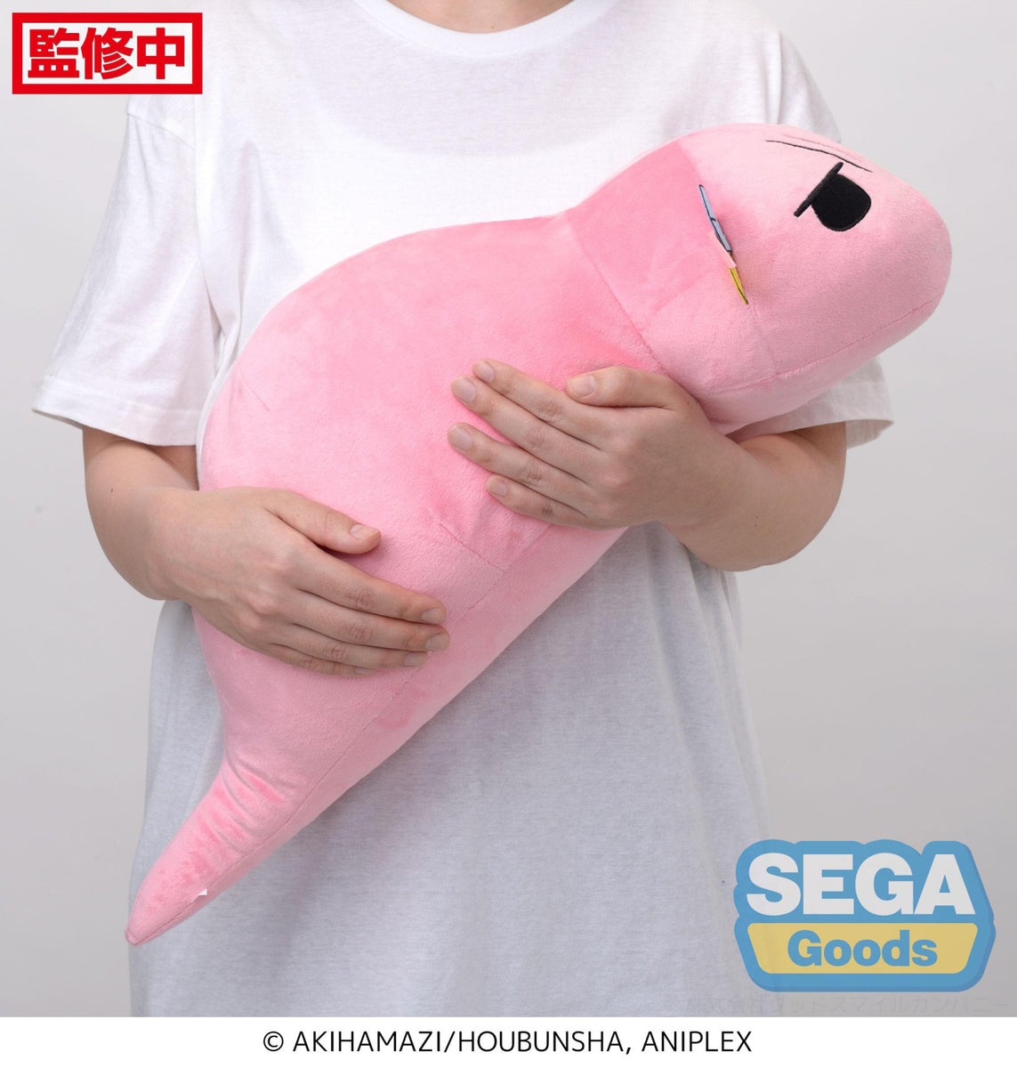 Bocchi the Rock! BODY PILLOW CUSHION - Tsuchinoko of Shimokitazawa ...